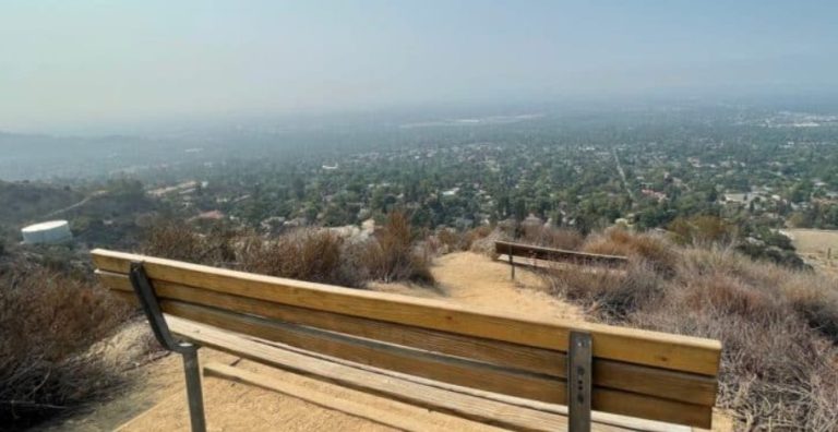 Decoding the 569 Area Code: Your Guide to Washington State's Newest ...