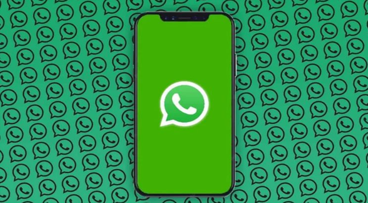 Decoding the 238 Area Code: Your Comprehensive Guide - SihaSah