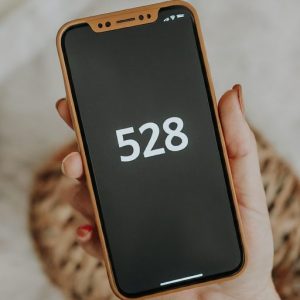 Decoding The 528 Area Code: A Comprehensive Guide