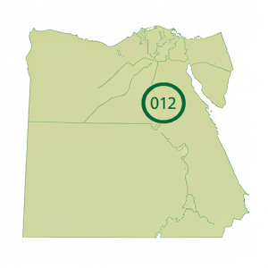 Decoding the 012 Country Code: A Comprehensive Guide - SihaSah