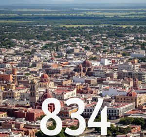 The Mystery Of The 834 Area Code: A Number In Waiting