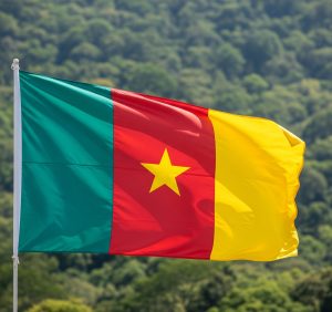 Navigating International Calls: Understanding the +237 code and Beyond ...