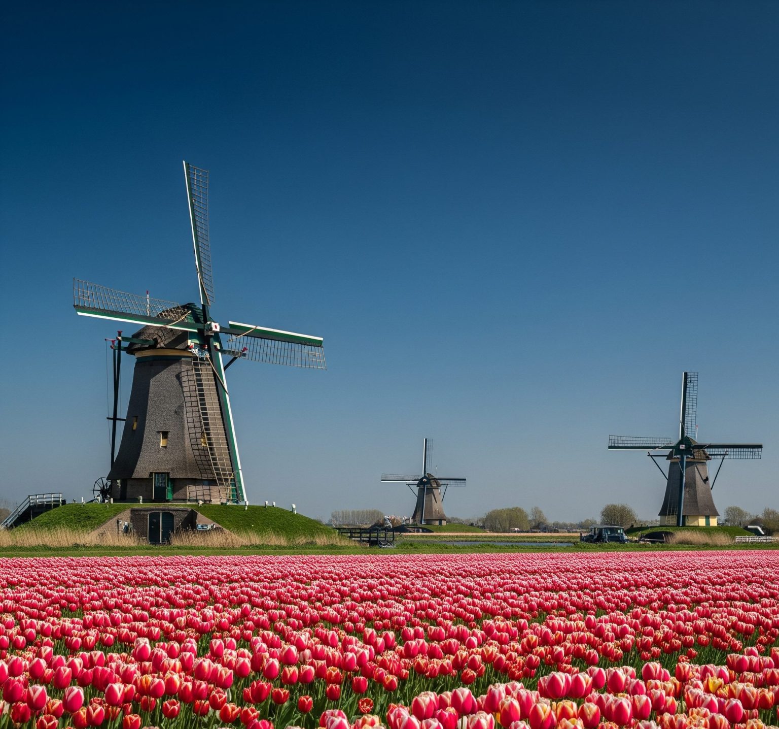 Demystifying the 356 Area Code: A Guide for Americans - SihaSah