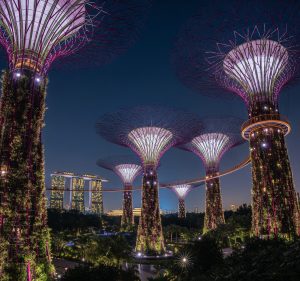 Unpacking the Mystery: Understanding the 526 Area Code in the American ...