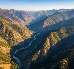 Untangling the Wires: What to Know About the "723 Area Code" - SihaSah