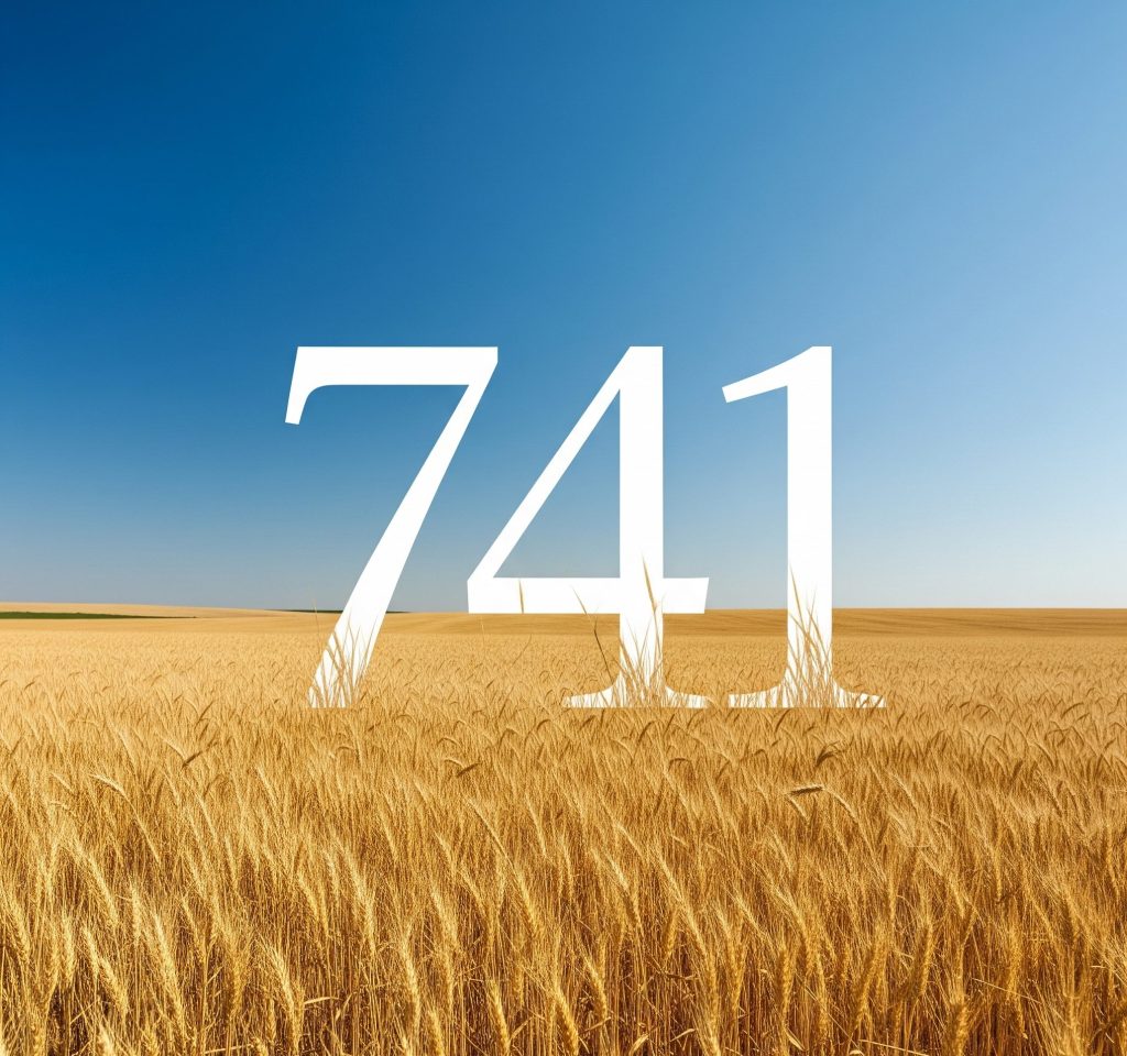 Unraveling The Mystery Of The 741 Area Code: A Deep Dive Into A Non ...