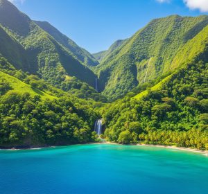 Decoding the Mystery: Everything You Need to Know About the 767 Area ...